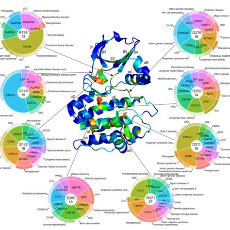 Cancer Related Mutations Mapped To Kinase Domain Of Aurora Kinase A Download Scientific Diagram
