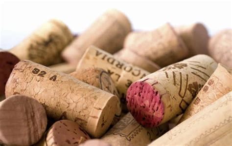 Recycling Surprises Ten Things You Ve Been Throwing Away That You Can