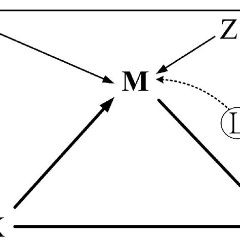 A Mediation Model With Mediator Outcome Confounding Download Scientific Diagram