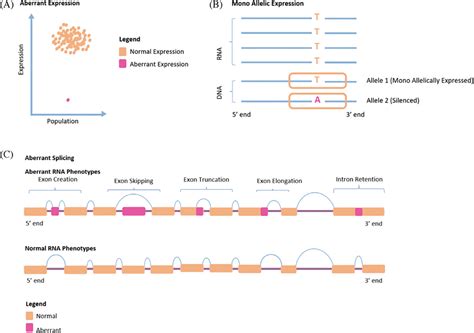 Pediatric Investigation Wiley Online Library