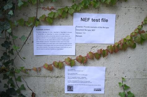 Basic Image Editing Via Api Online File Conversion Blog