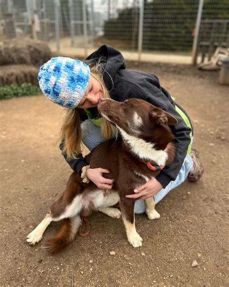 Bradshaw Shelter On Twitter Elf Is Hoping To Find Someone To Love