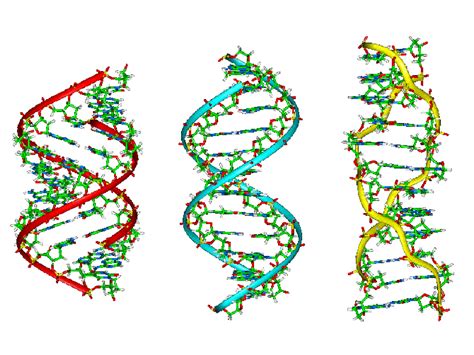 Replicación Taller Adn Docsity