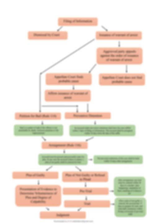 Solution Criminal Procedure Case Flowchart Sample Studypool