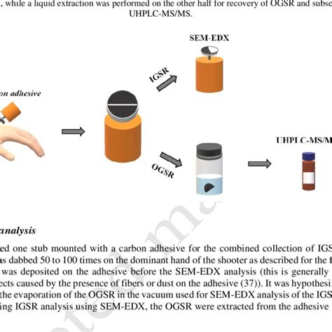 Schematic Representation Of The Sequential Analysis Protocol After Download Scientific Diagram