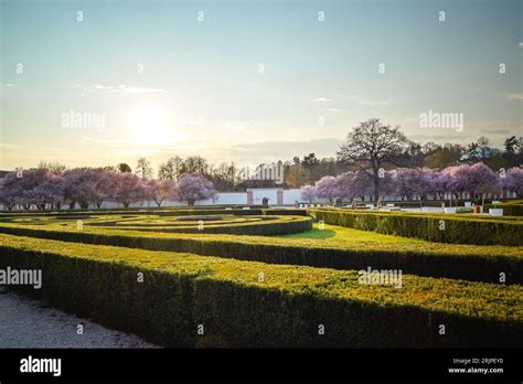 Sakura At Sunset In The Garden Of Troja Castle Prague Czech Republic