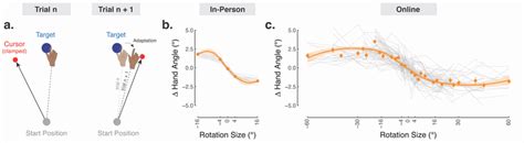 Trial By Trial Estimates Of Sensorimotor Adaptation In Response To Download Scientific Diagram