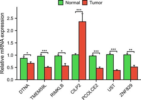 Full Article Identification Of Macrophage Related Molecular Subgroups