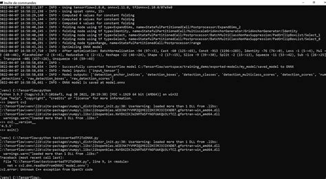 loading onnx model generated from tensorflow2 saved model by tf2onnx