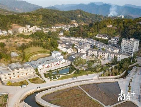 新鄉賢、新農人、幹部新下鄉梅州鄉村振興新潮湧動 每日頭條