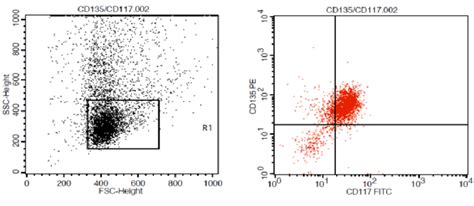 Flow Cytometric Based Coexpression Of Cd135 Cd117 Download Scientific