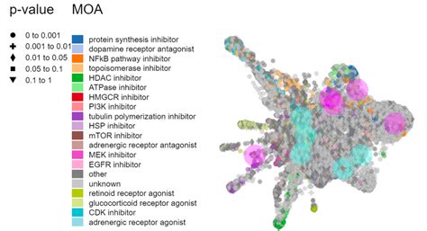 Inhibitor Prediction Against Mm By L Fdw Visualization Input Genes