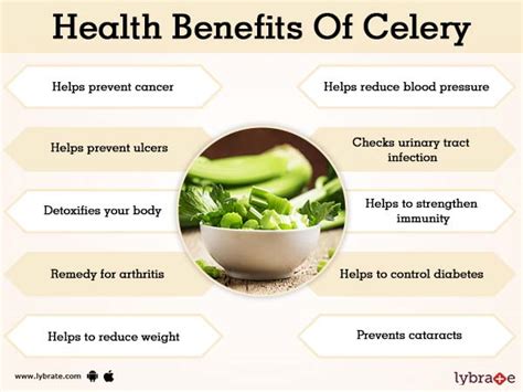 Celery Juice Benefits Erectile Dysfunction Health Benefits