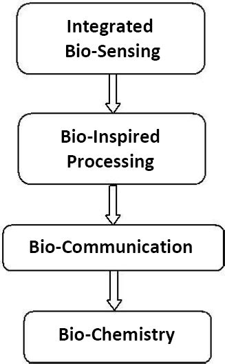 bio inspired computation stages in tumour diagnosis download