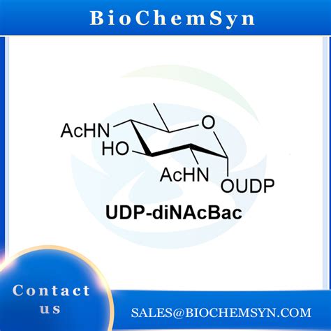 Biochemsynsugar Nucleotiderare Sugar Nucleotideunnatural Sugar