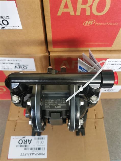 Diaphragm Pump Aro Pd05p Aas Ftt Chumathailand