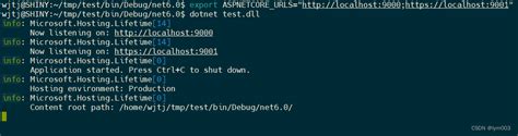 Aspnet Core设置urls的几种方法，完美解决net 6项目局域网ip地址远程无法访问的问题dotnet Urls Csdn博客