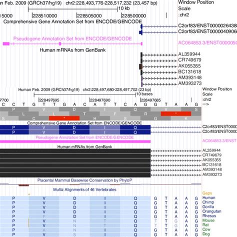 Figure S3a Examples Of Pseudogenes Overlapping With Protein Coding
