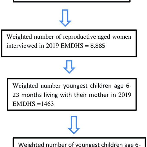 Illustrates The Sampling Procedure And The Final Sample Size