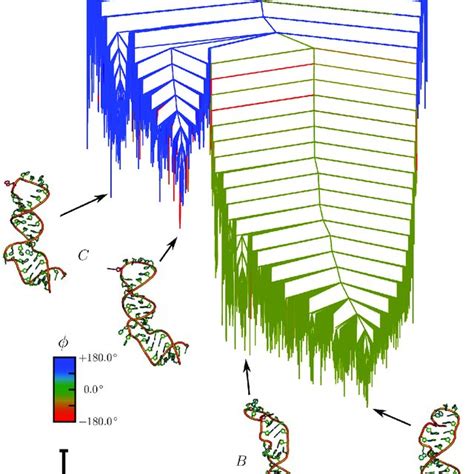 free energy disconnectivity graph for the modified stem loop the free download scientific
