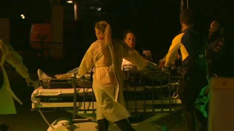 Shark Kills Paddle Boarder Off The North East Coast Of Australia Uk