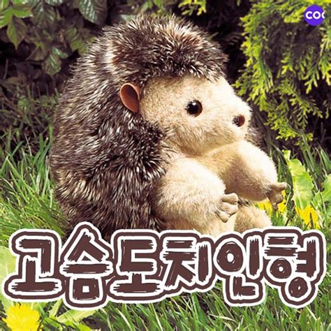 쇼핑을 차차차 쿠차 탈모인 친구를 스을쩍 태그해봅시다 ㅠㅠㅠㅠㅠ친구야 이거 사줄게 이제 당당해도돼 😂 생일