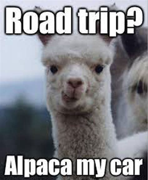 Funny Jokes About Traveling Being Lost Jackson Emper1971