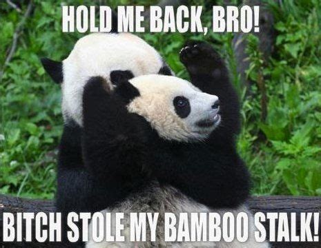 Hold Me Back Meme Funny