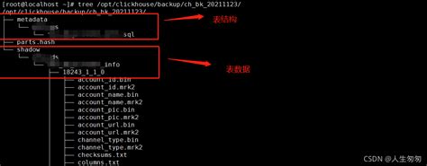 Clickhouse数据库备份clickhouse备份数据库命令 Csdn博客