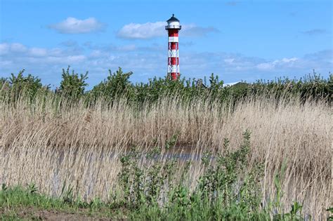 Latarnia Morska Drzewa Pole Darmowe zdjęcie na Pixabay Pixabay