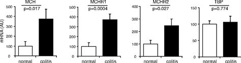 Melanin Concentrating Hormone As A Mediator Of Intestinal Inflammation