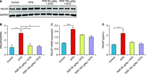 Effects Of Perampanel Treatment On Pacap Level In Ntg Induced Migraine
