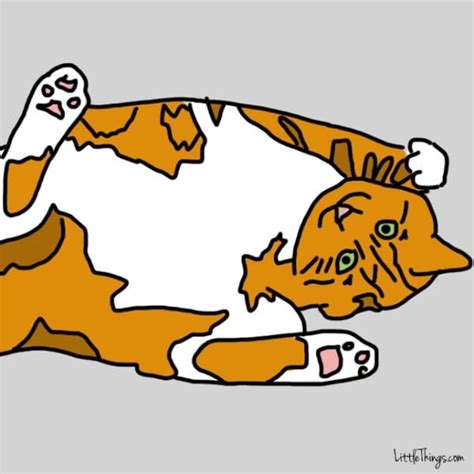猫が飼い主にみせる「10の愛情表現」（イラスト）の6枚目の画像 Tabi Labo