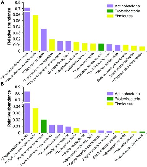 Relative Abundance At The Phylum And Species Level Of Bacterial Taxa