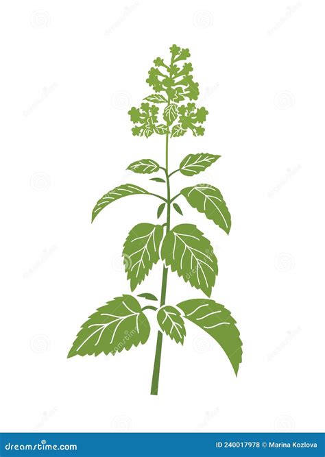 The Silhouette Of Catnip Simple Flat Vector Illustration Stock Vector