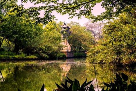 爱风景：杭州西溪湿地风光 每日头条