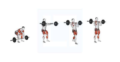 Standing Hamstring Stretch Guide Benefits And Form