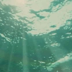 Ned In Chlorine By Twenty One Pilots Tumbex