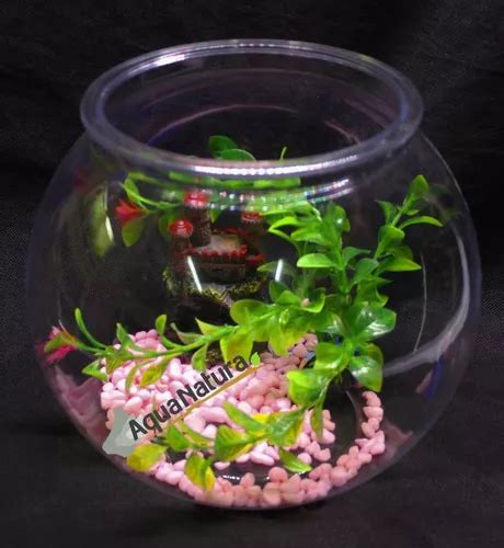 Acuario 17 X 20 Pecera Acrilico Redonda 3 Litros Wabikusa MercadoLibre