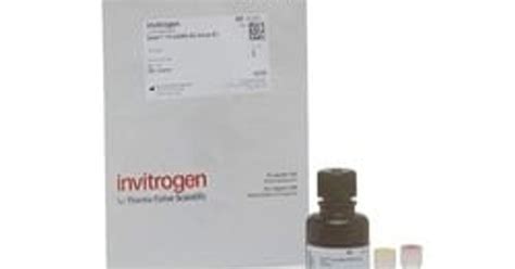 Qubit™ 1x Dsdna Hs Assay Kit Selectscience