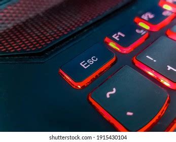 24 Keyboard Button F1 F2 Royalty Free Images Stock Photos Pictures Shutterstock