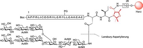 Convergent Solid‐phase Synthesis Of N‐glycopeptides Facilitated By Pseudoprolines At Consensus