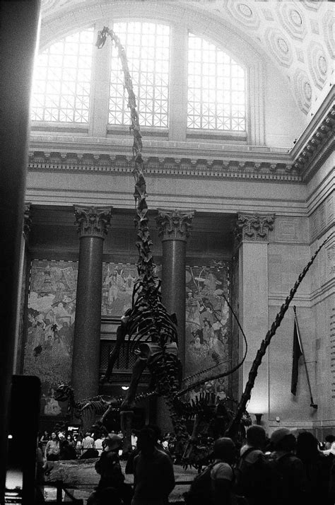 Análogas Nyc B W Alan I Ruiz Flickr