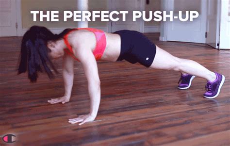 Champion Sports Bras