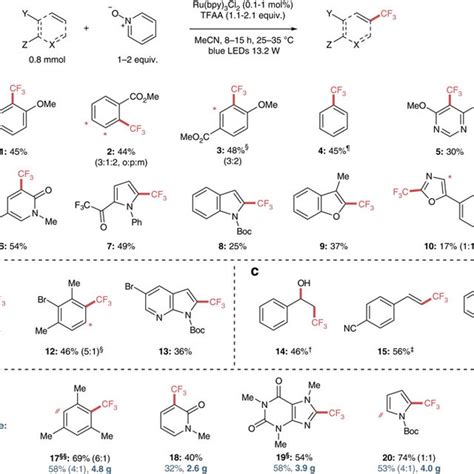 Scalable Radical Trifluoromethylation Of Arenes Heteroarenes And