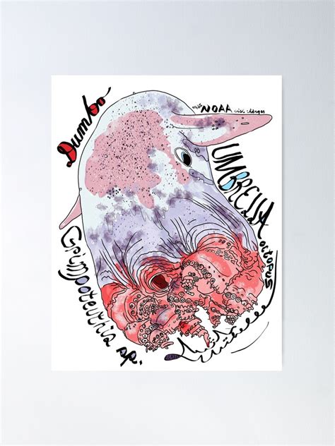 Dumbo Octopus Grimpoteuthis Sp Poster For Sale By Michdevilish