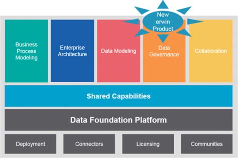 Erwin Worldwide Leading Tool For Data Management Ad Consulting