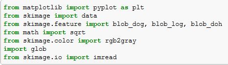 Conceptos básicos del procesamiento de imágenes en Python Datapeaker