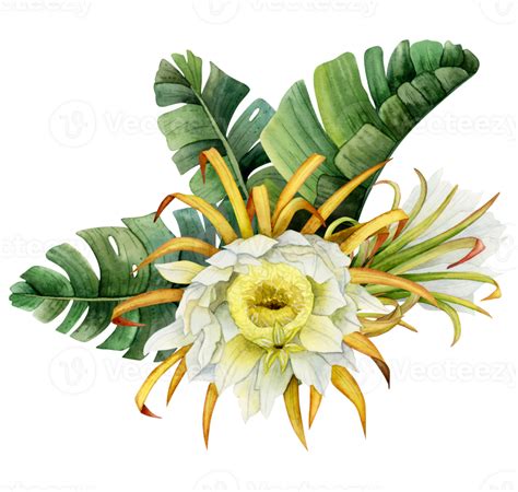 Bloeiend Cactus Bloemen En Tropisch Palm Bladeren Waterverf Illustratie