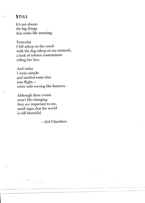 Creative Writing Assignments Ms Carota English